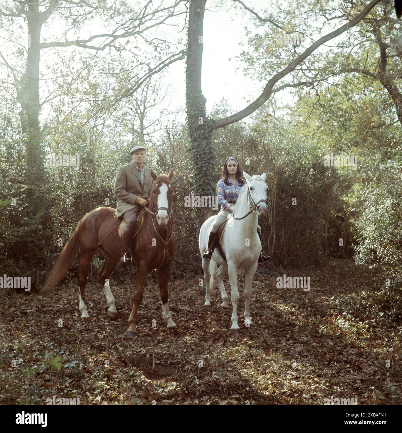 Brian keith elizabeth taylor reflections hi-res stock photography and ...