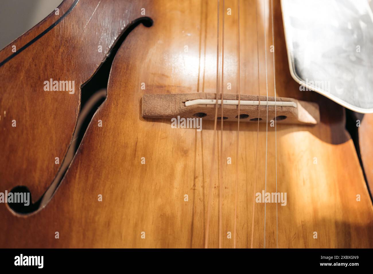 A close-up of the strings of a worn cello. Found in Norwegian museum Stock Photo - Alamy