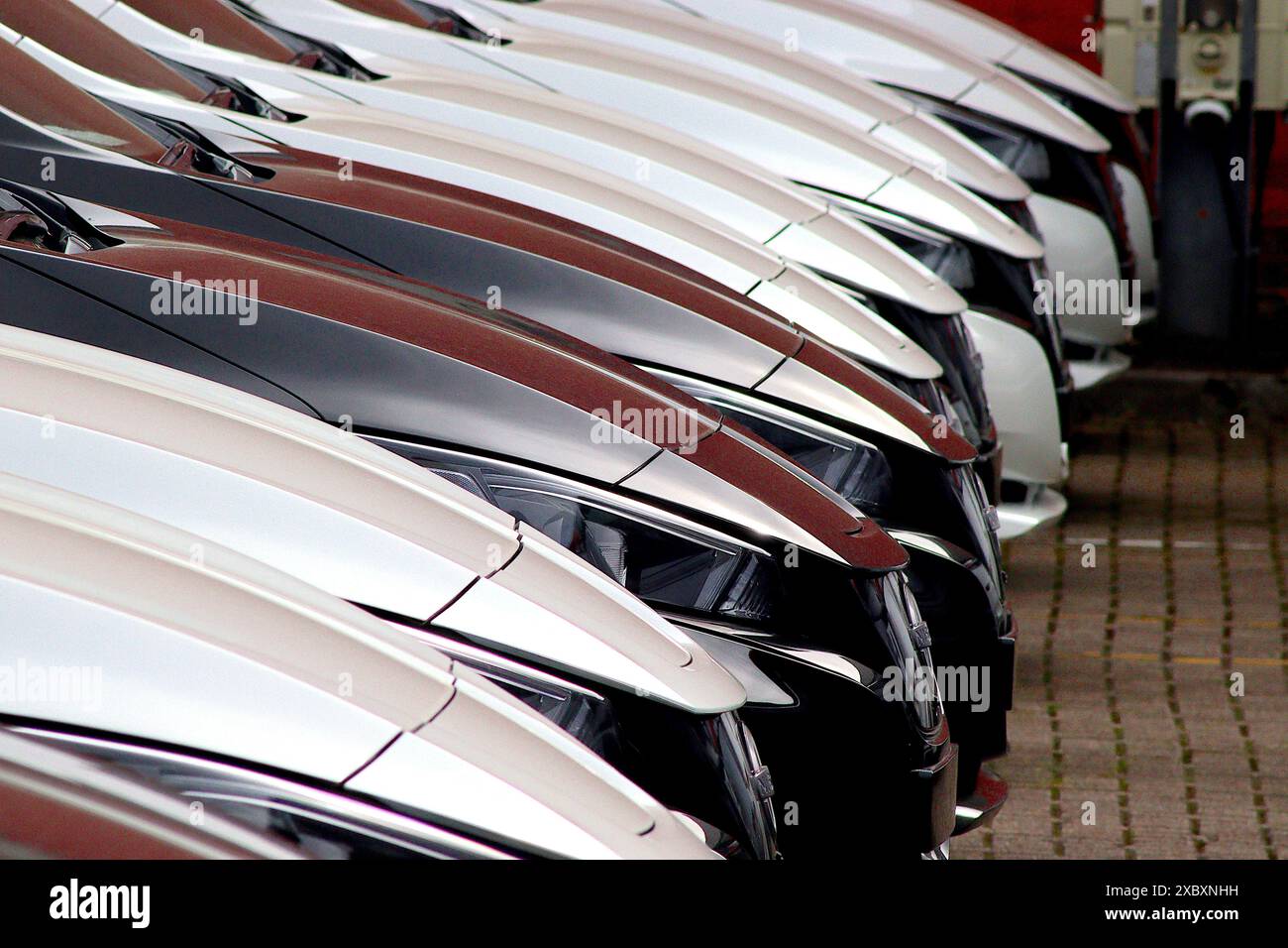 Leaf evs hi-res stock photography and images - Alamy