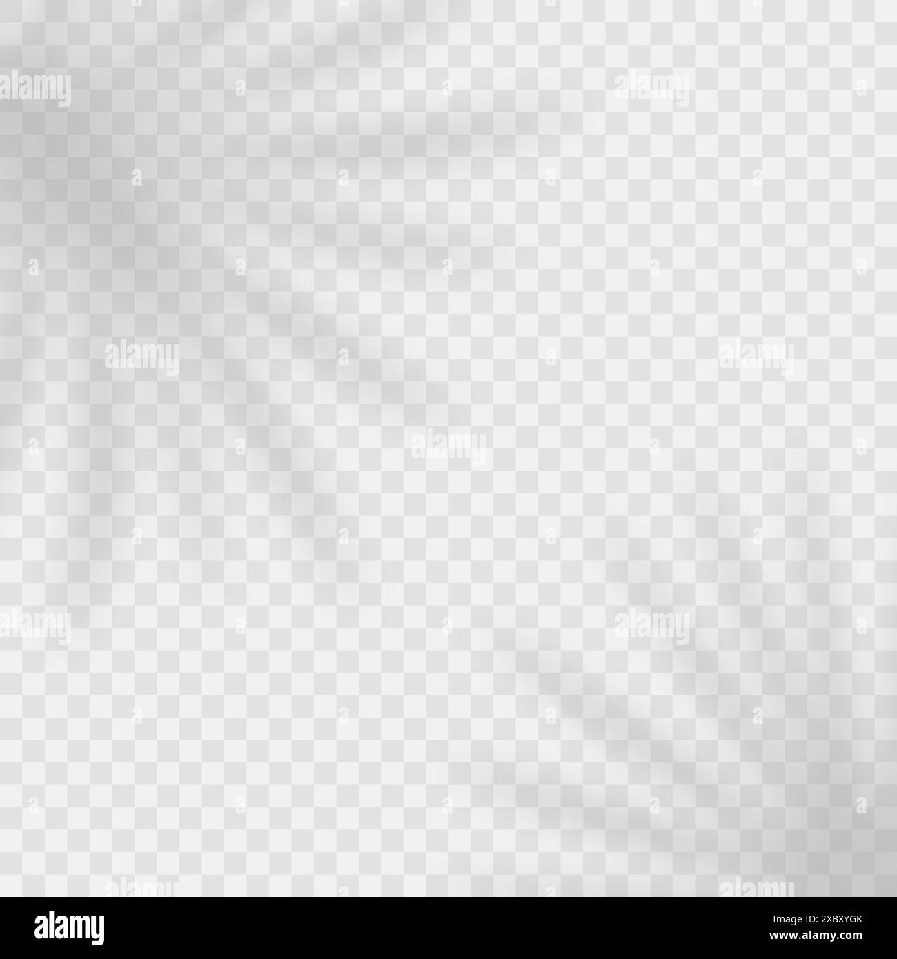 Vector Transparent Shadow Effects. Tropical Leaves, Palm Leaves Shadow ...
