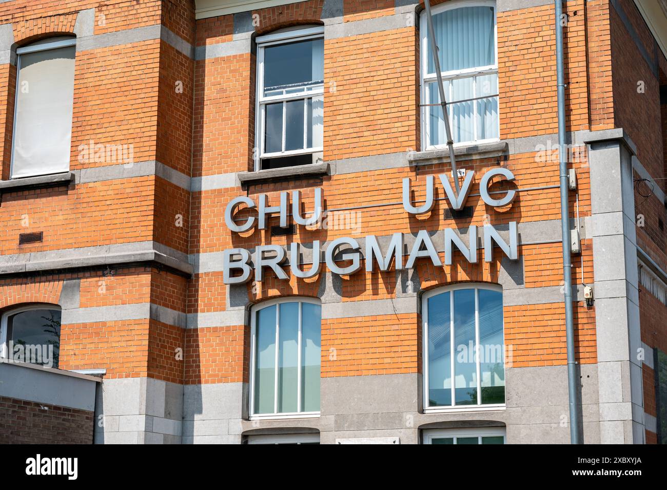 Chu Brugmann Logo