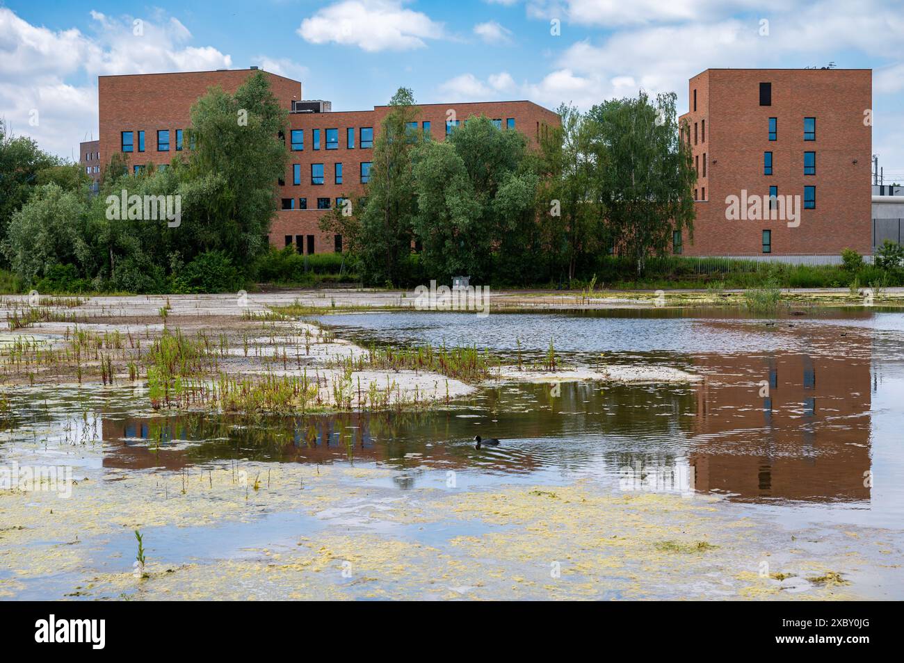 Haren, Flanders, Belgium - June 8, 2024 - The Prison of Haren, a new ...