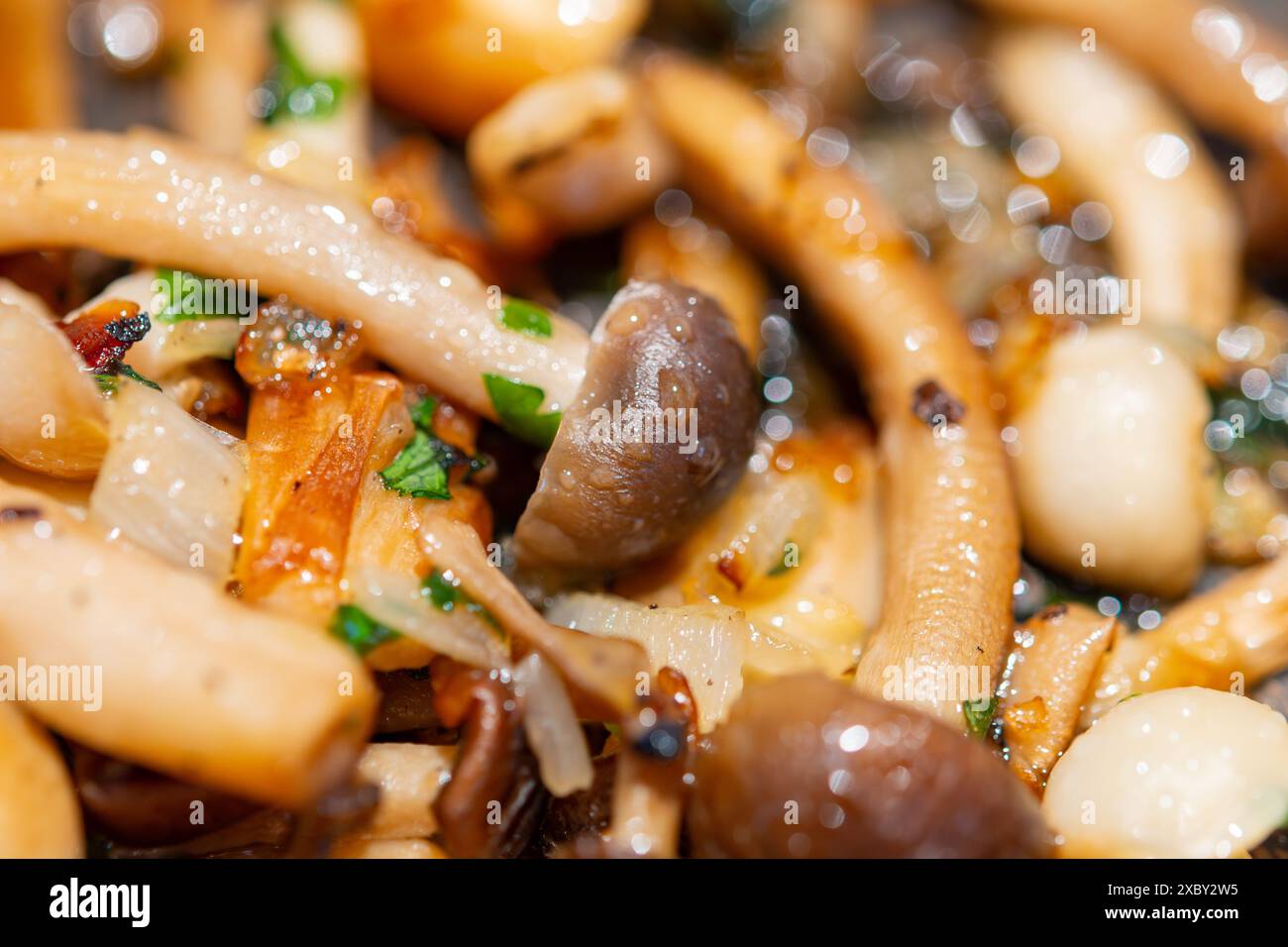Roasted with onion white and brown shimeji edible mushrooms native to ...