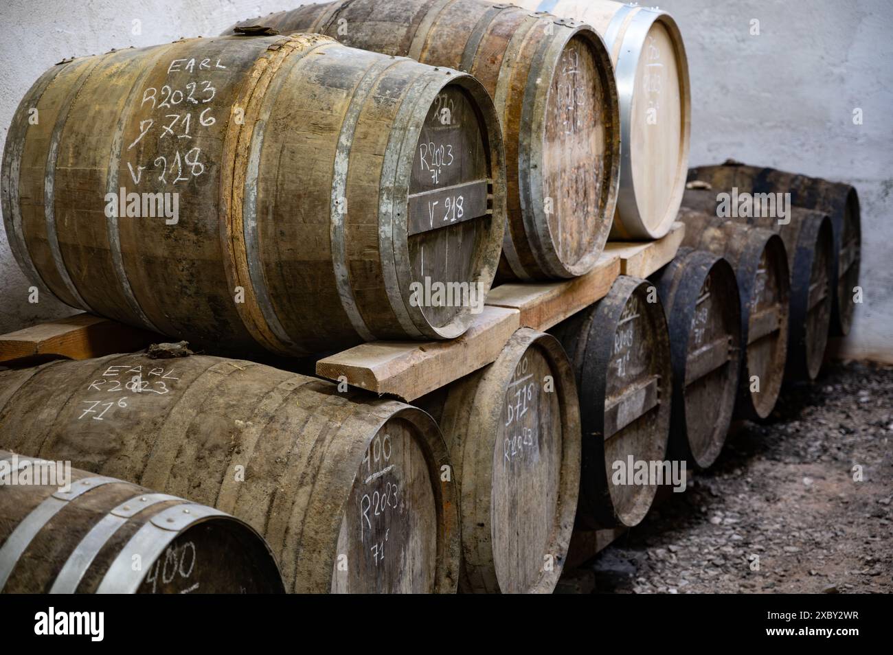 Aging process of cognac spirit in old dark French oak barrels in cool ...