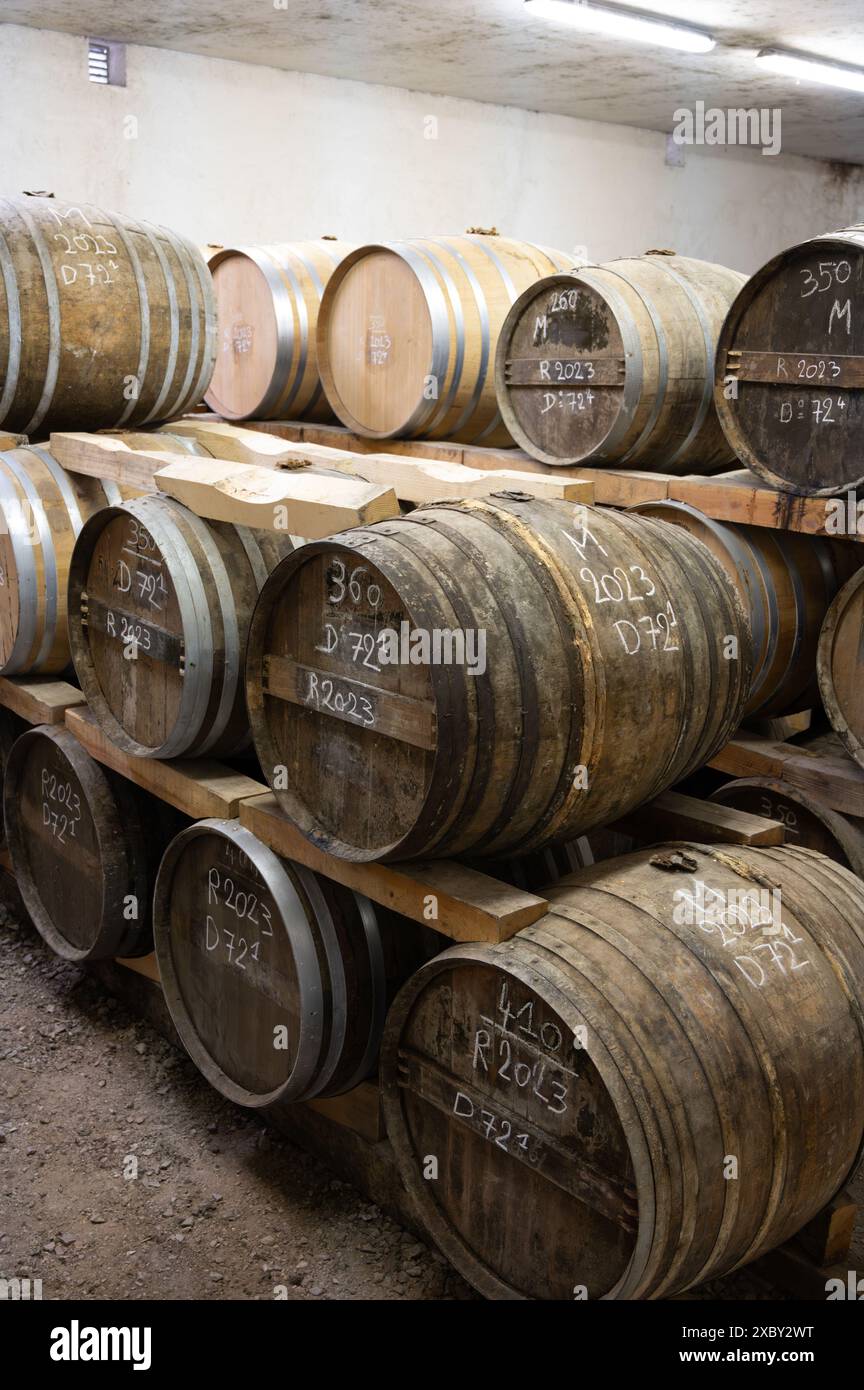 Aging process of cognac spirit in old dark French oak barrels in cool ...