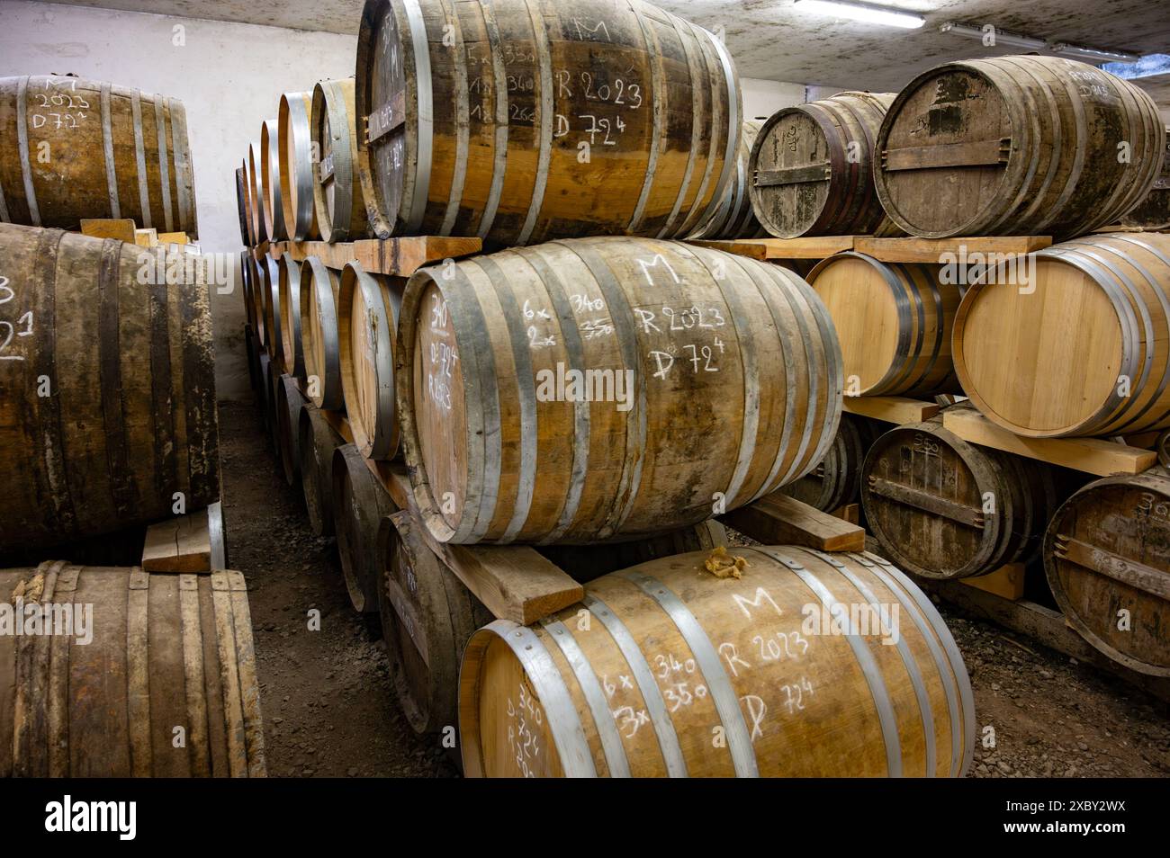 Aging process of cognac spirit in old dark French oak barrels in cool ...
