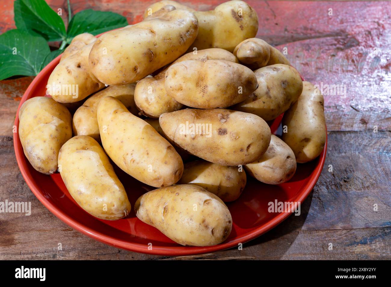 Ratte potato, La Ratte, La Reine Ratte du Touquet, or Asparges small ...