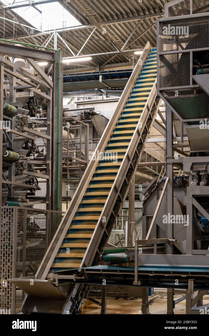 Fresh vegetables processing equipment after harvesting, storage ...