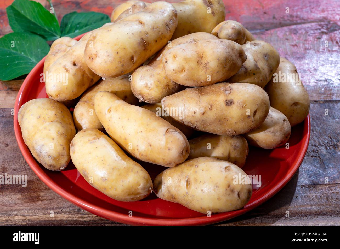 Ratte potato, La Ratte, La Reine Ratte du Touquet, or Asparges small ...