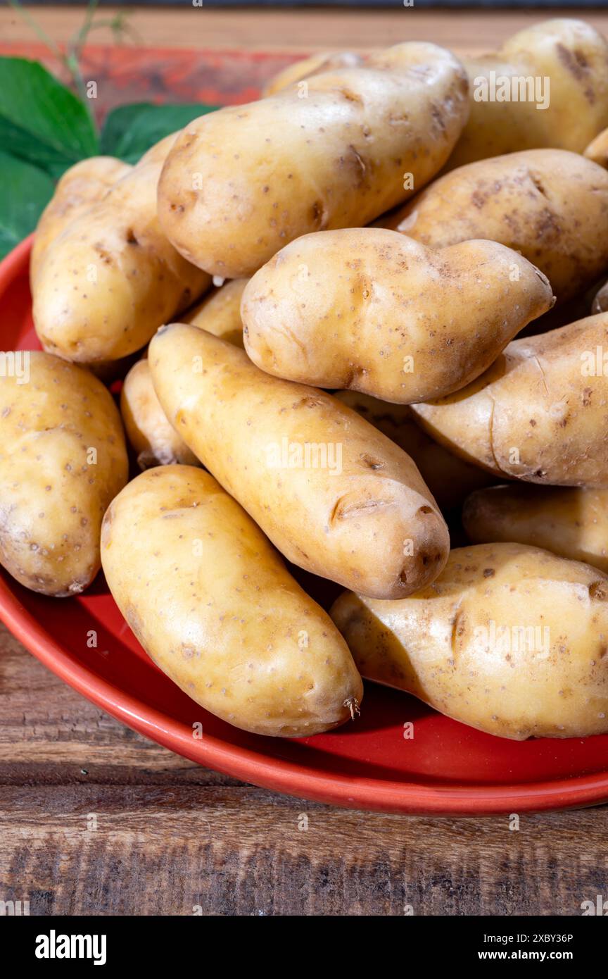 Ratte potato, La Ratte, La Reine Ratte du Touquet, or Asparges small ...