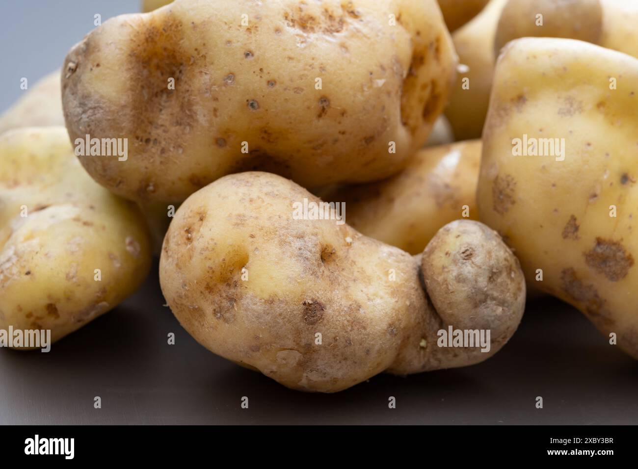 Ratte potato, La Ratte, La Reine Ratte du Touquet, or Asparges small ...