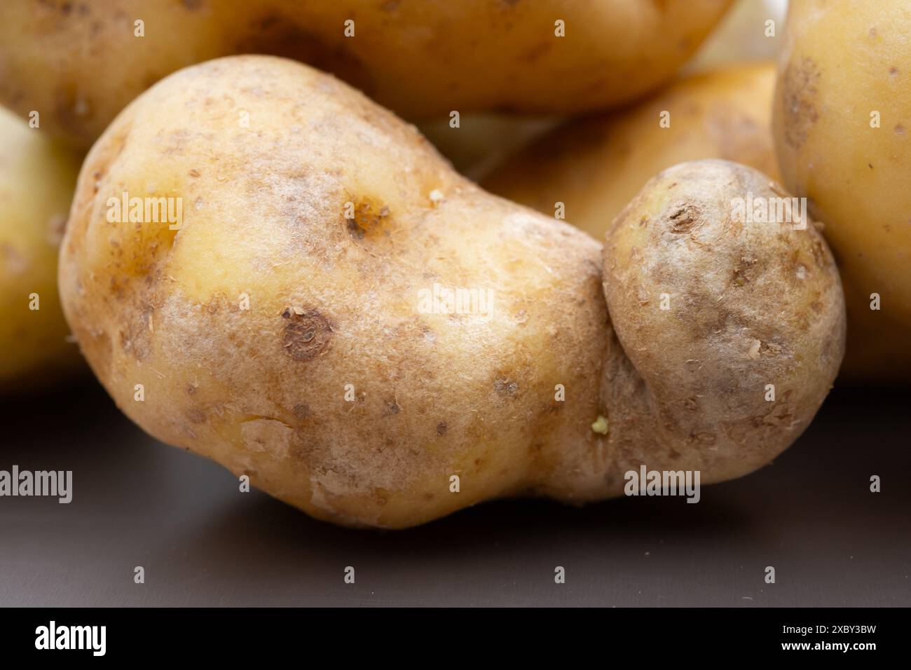 Ratte potato, La Ratte, La Reine Ratte du Touquet, or Asparges small ...