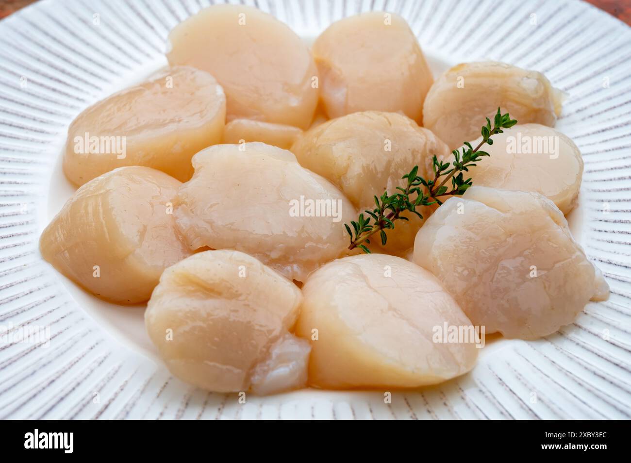 Atlantic bay cleaned scallops coquille St. James sea shells on plate ...