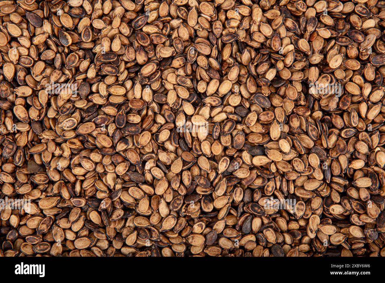 Roasted watermelon seeds. watermelon seeds and roast them and your ...