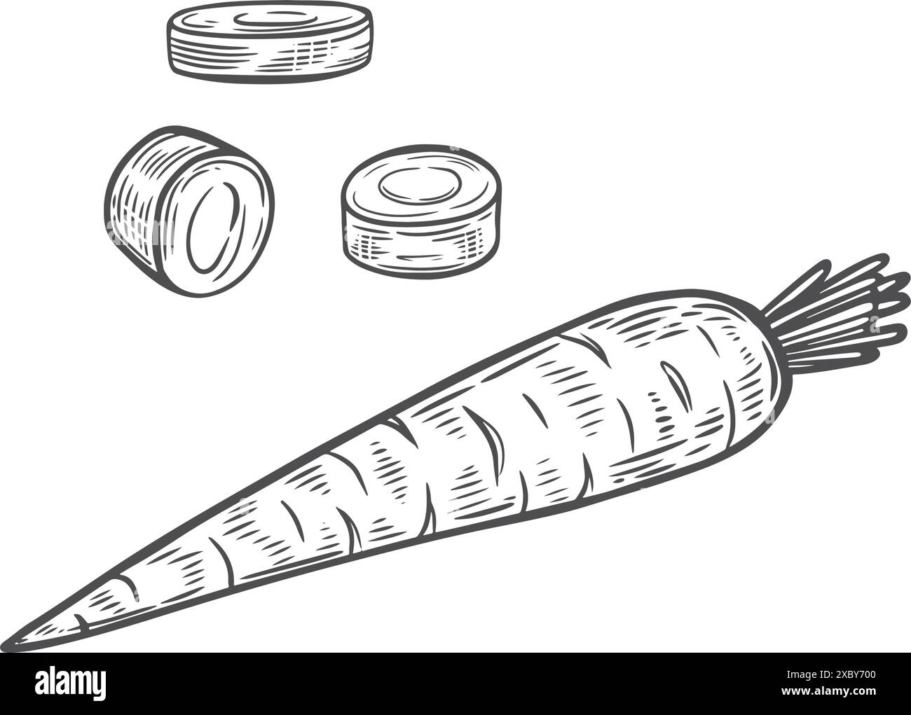 Whole carrot and slices line drawing vector illustration Stock Vector ...