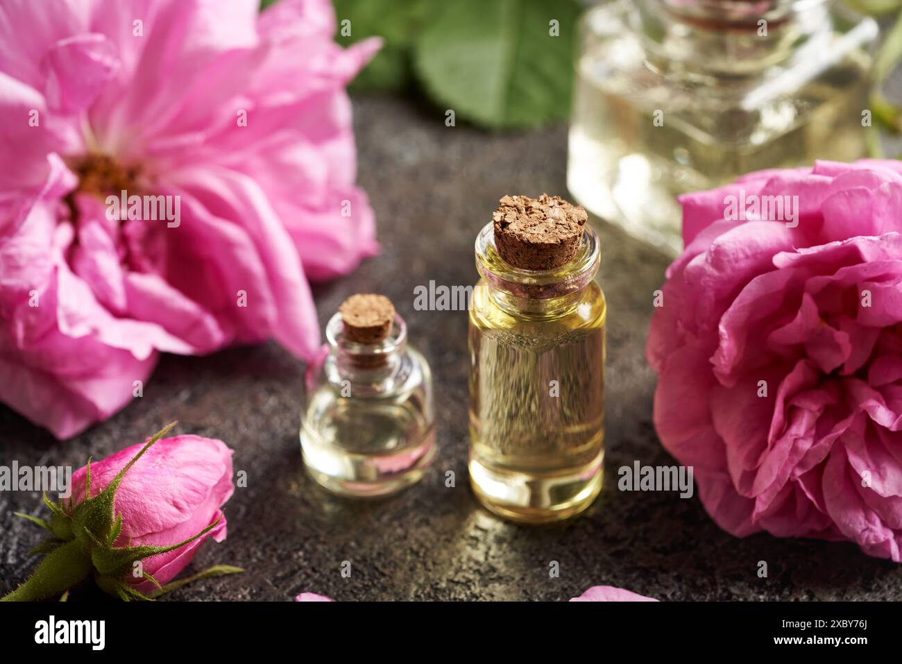 Bottles of aromatherapy essential oil with pink Provence rose flowers ...