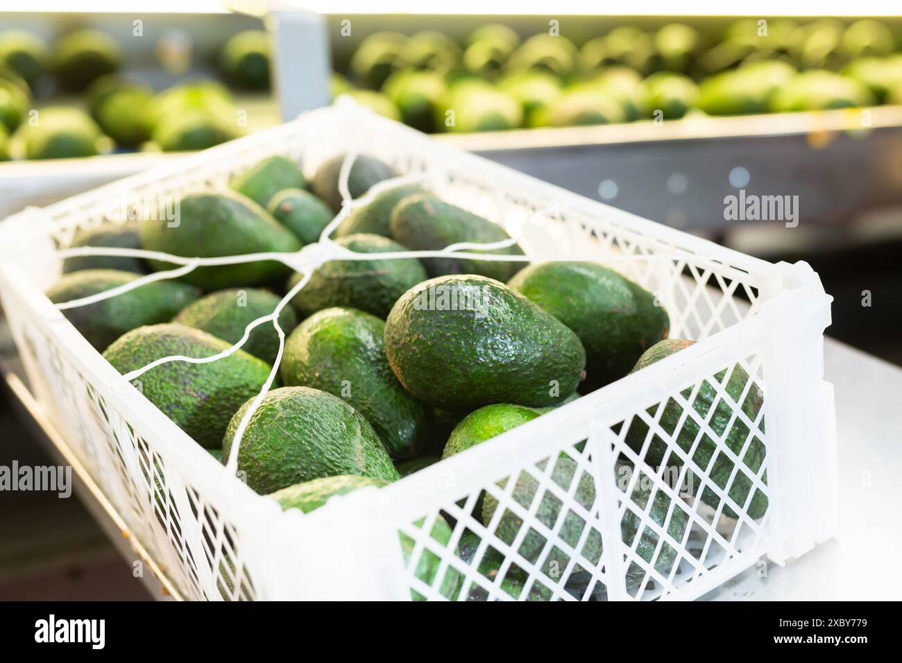 Mango crate packaging hi-res stock photography and images - Alamy