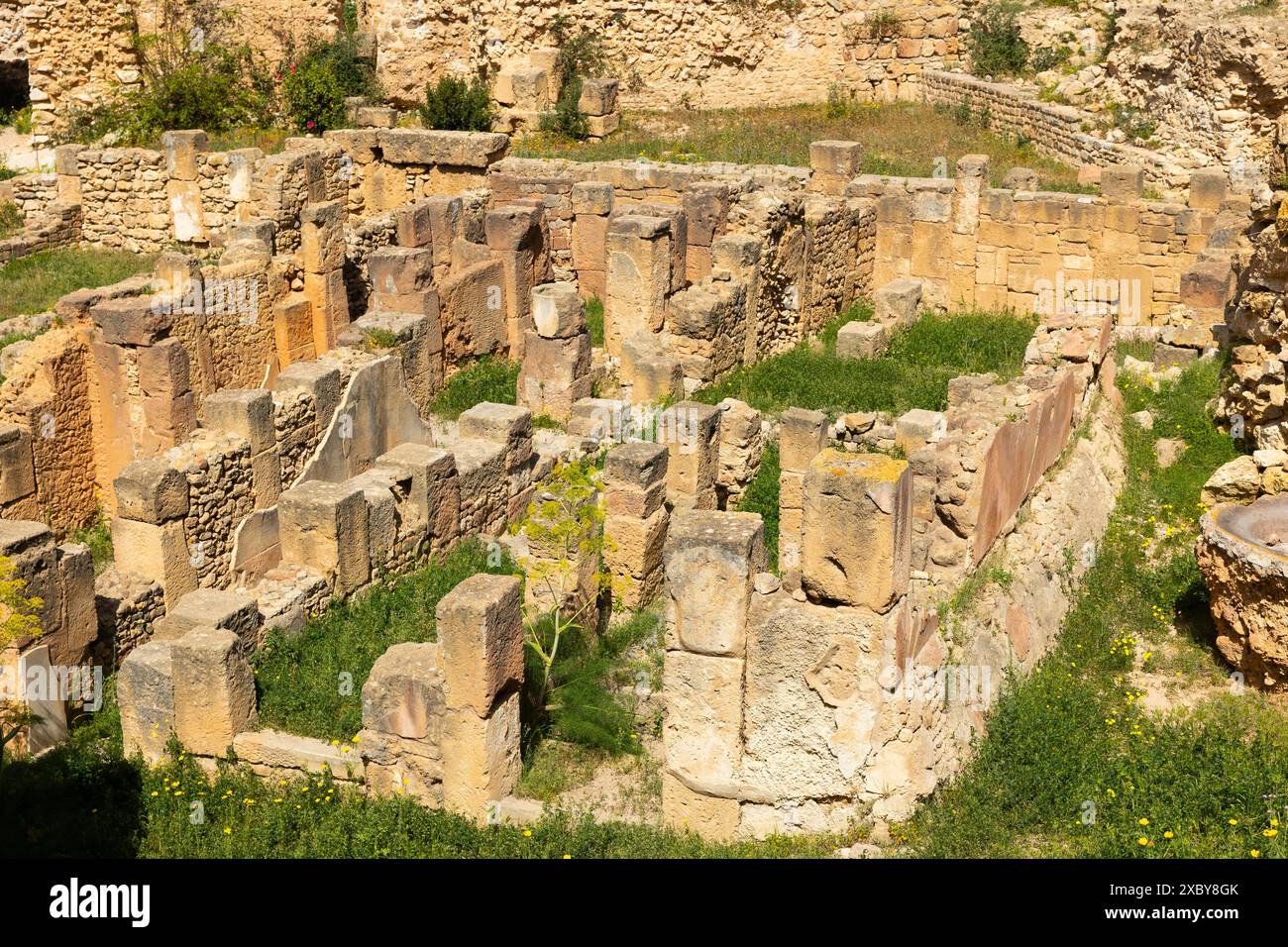 Ruins of house of Hannibal at the excavations of Carthage Stock Photo ...