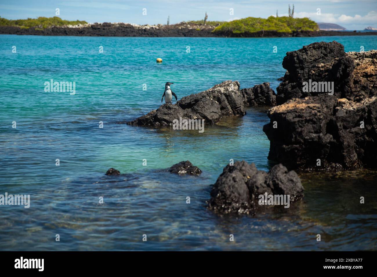 Scenes from around Ecuador and the Galapagos Islands Stock Photo - Alamy