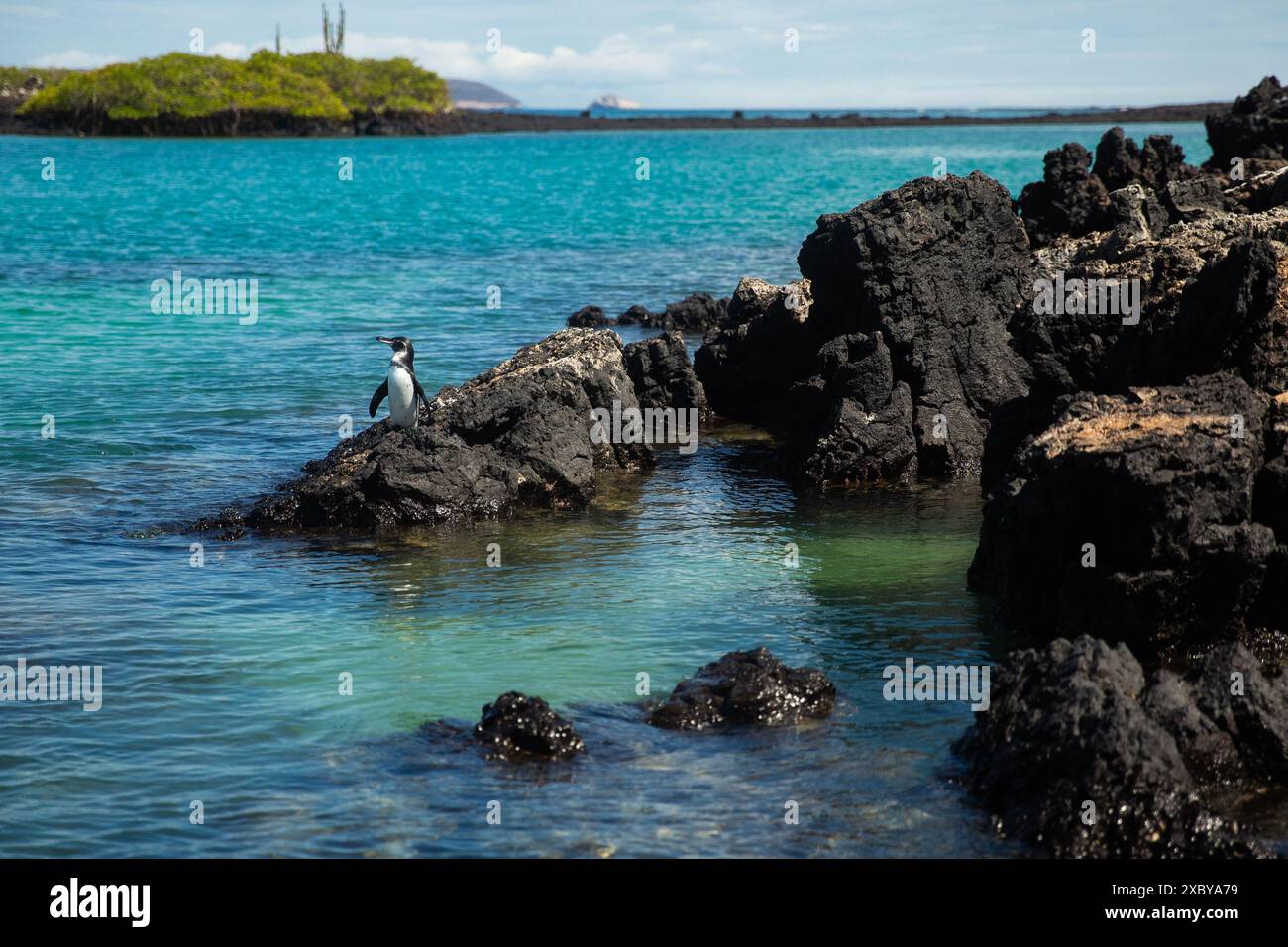 Scenes from around Ecuador and the Galapagos Islands Stock Photo - Alamy