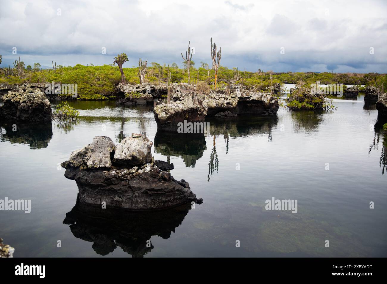 Scenes from around Ecuador and the Galapagos Islands Stock Photo - Alamy