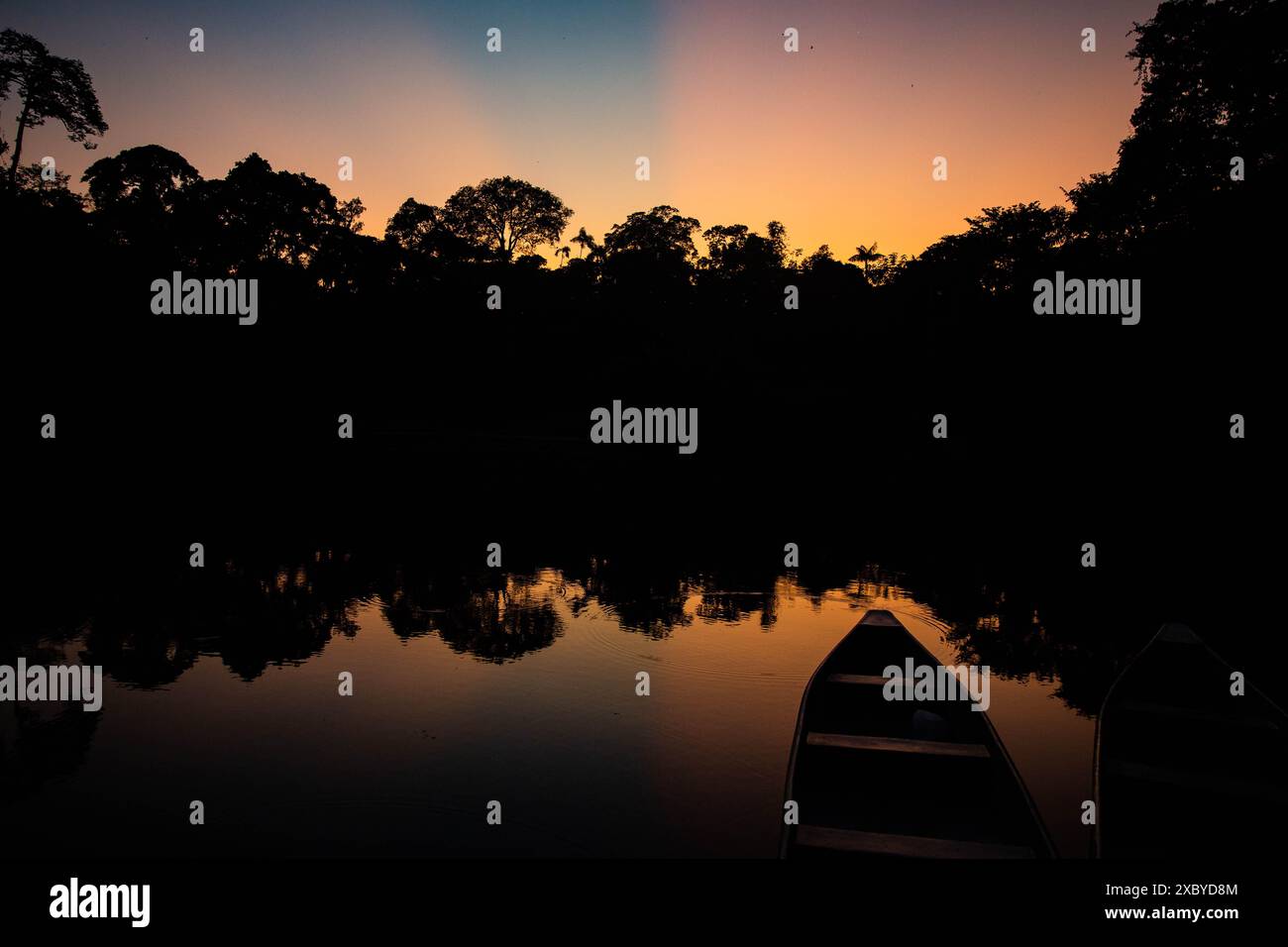 A scene of a lagoon at sunset in Yasuni National Park in Ecuador's ...