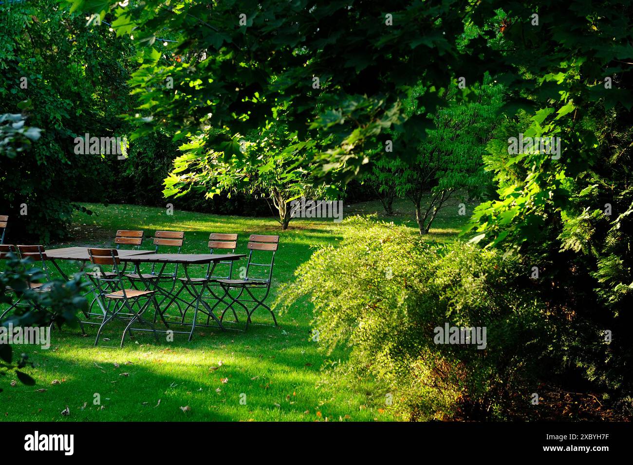 rest, reset, park, trees, calm, energy, nature, greenery,nature ...