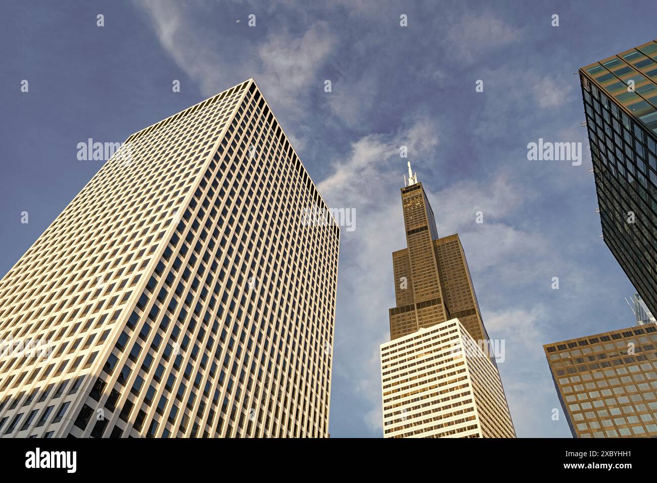 city downtown with skyscraper in perspective. perspective view ...
