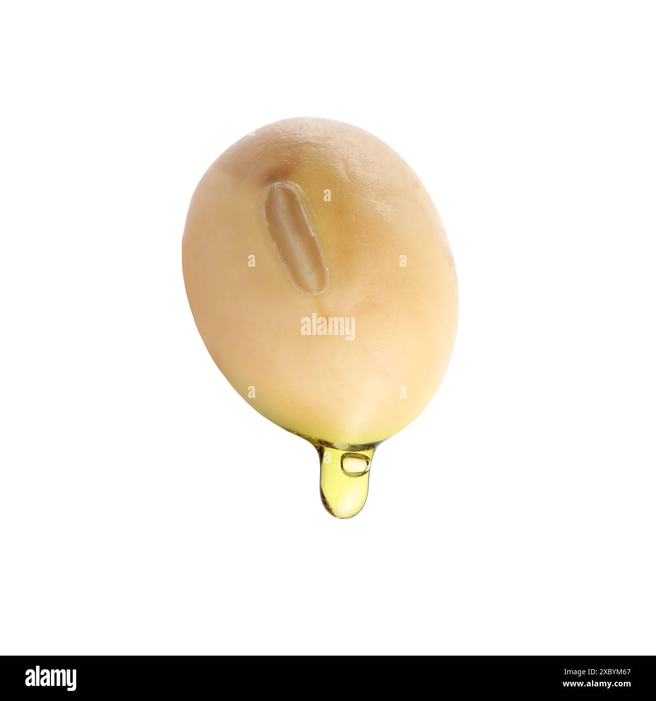 Cooking oil dripping from soybean on white background Stock Photo - Alamy