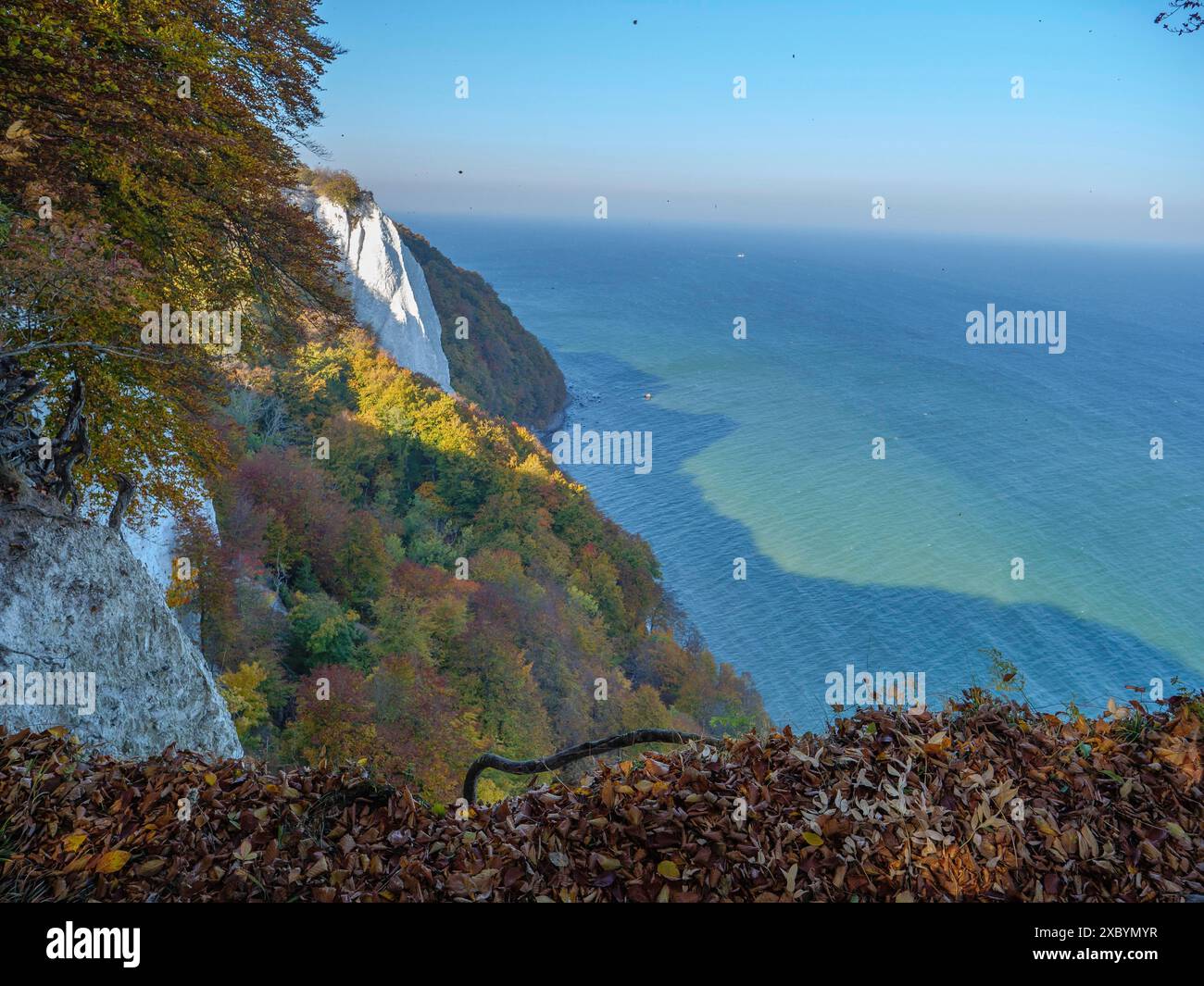 White cliffs and autumnal wooded slopes on the blue coast, Binz, Ruegen ...