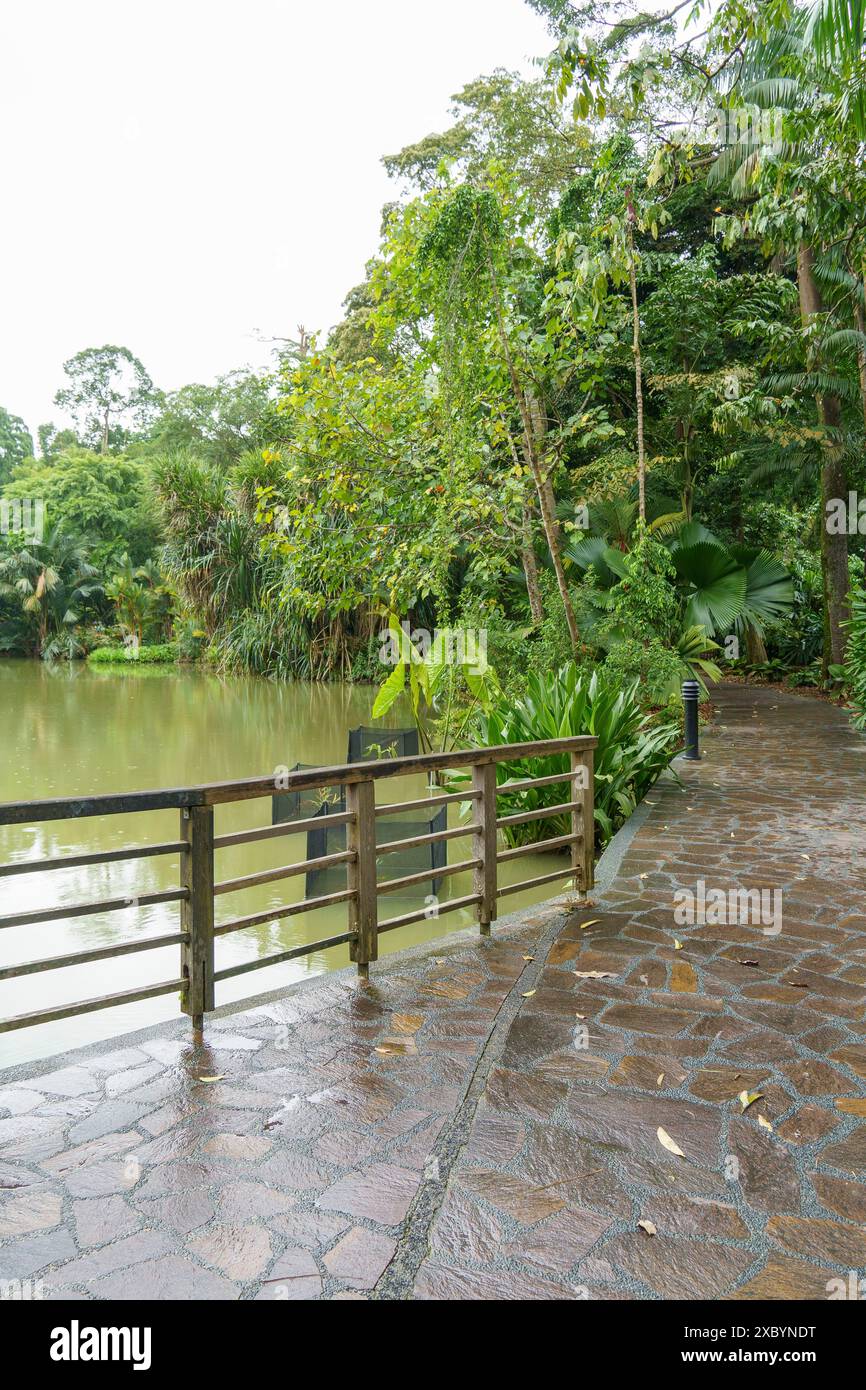 A path along a lake in a green forest, with wooden railings and trees ...