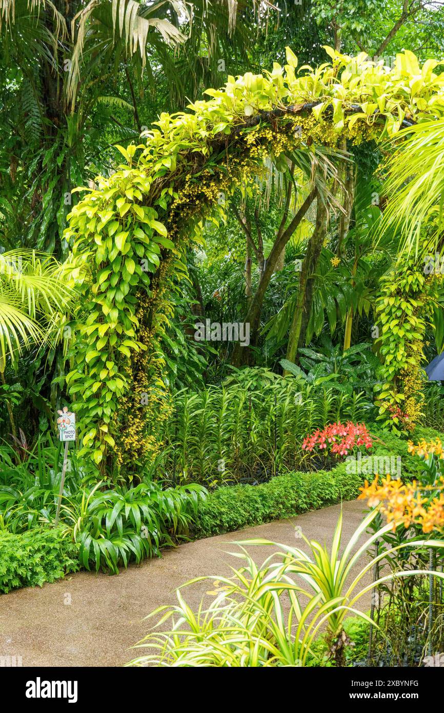 Arch of tropical plants hi-res stock photography and images - Alamy