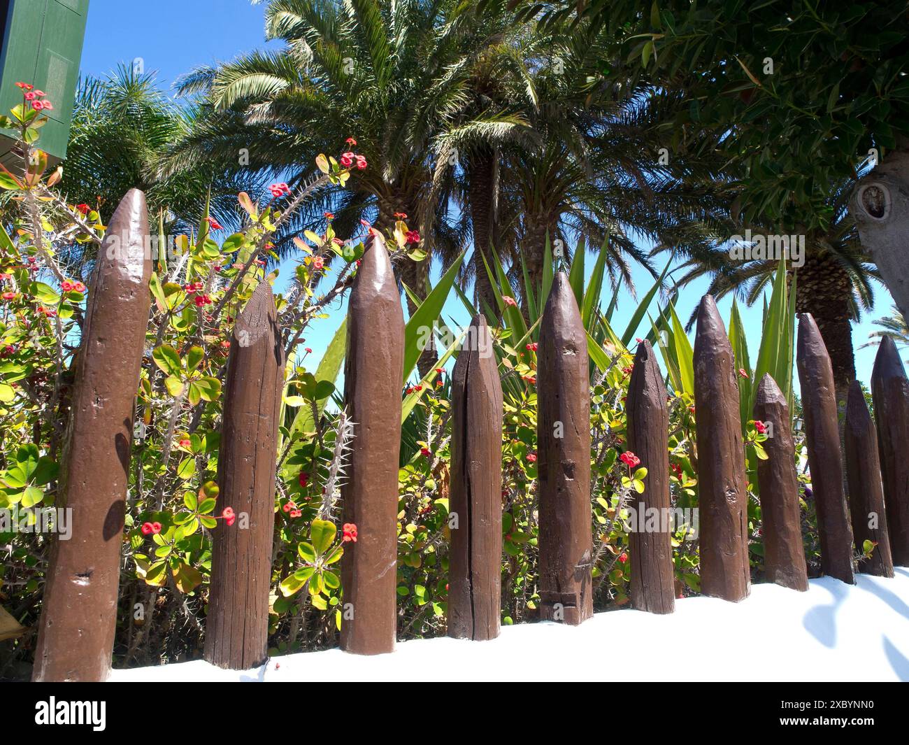 Wooden fence surrounded by flowering plants and palm trees in a ...