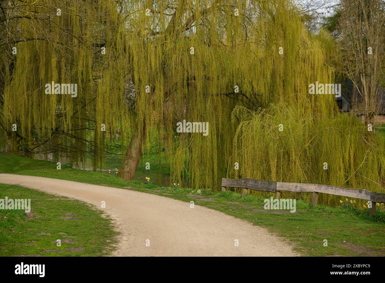 A sandy path winds its way through a rural landscape with high, sloping ...