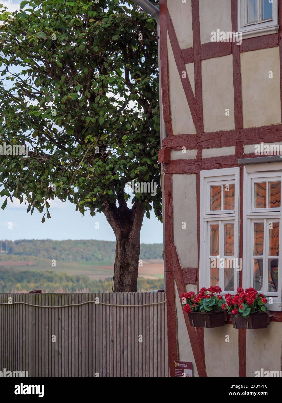 Part of a half-timbered house with flowers in the windows, tree and fence, Waldeck, Hesse ...