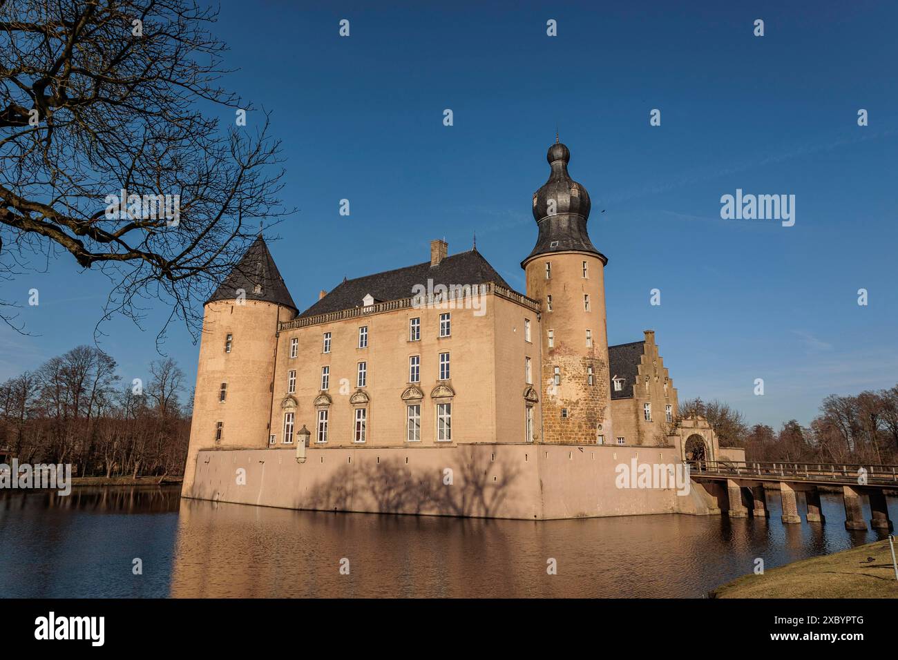 Castle with moat and striking helmet tower surrounded by winter trees ...