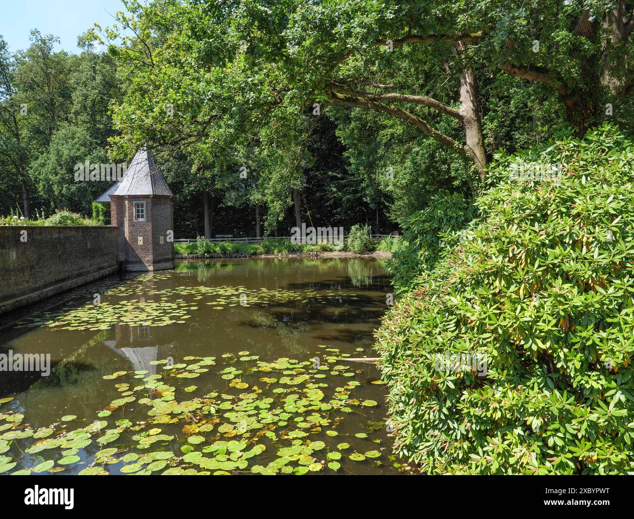 A quiet pond with water lilies, surrounded by trees and a small ...