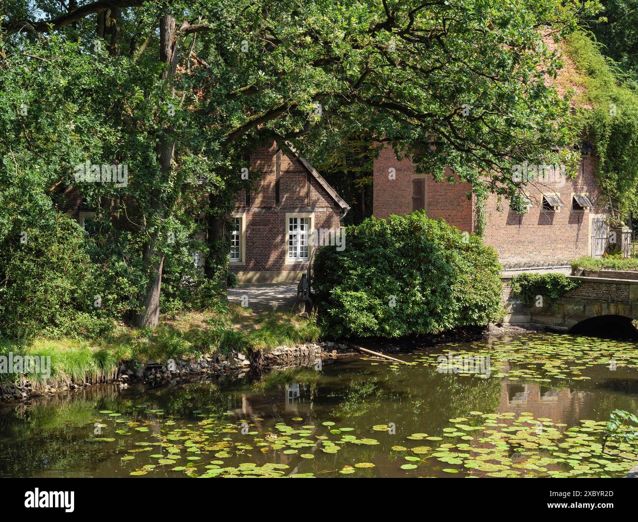 Rural scene with a pond full of water lilies, surrounded by brick ...