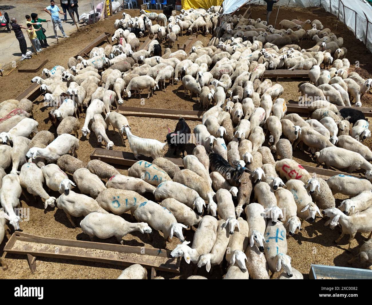 (240614) -- ANKARA, June 14, 2024 (Xinhua) -- An aerial drone photo ...