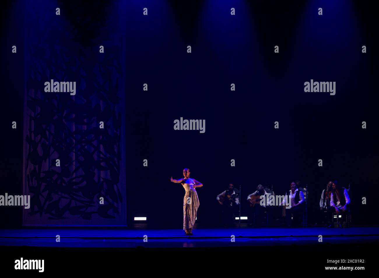 Malaga, Spain. 13th June, 2024. Spanish flamenco dancer Sara Baras ...