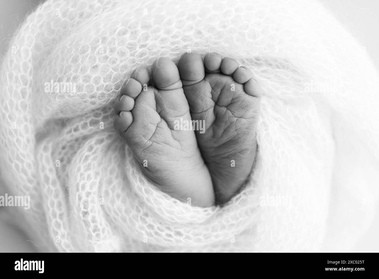 Close up of toes, heels and feet of a newborn. Black and white Macro ...