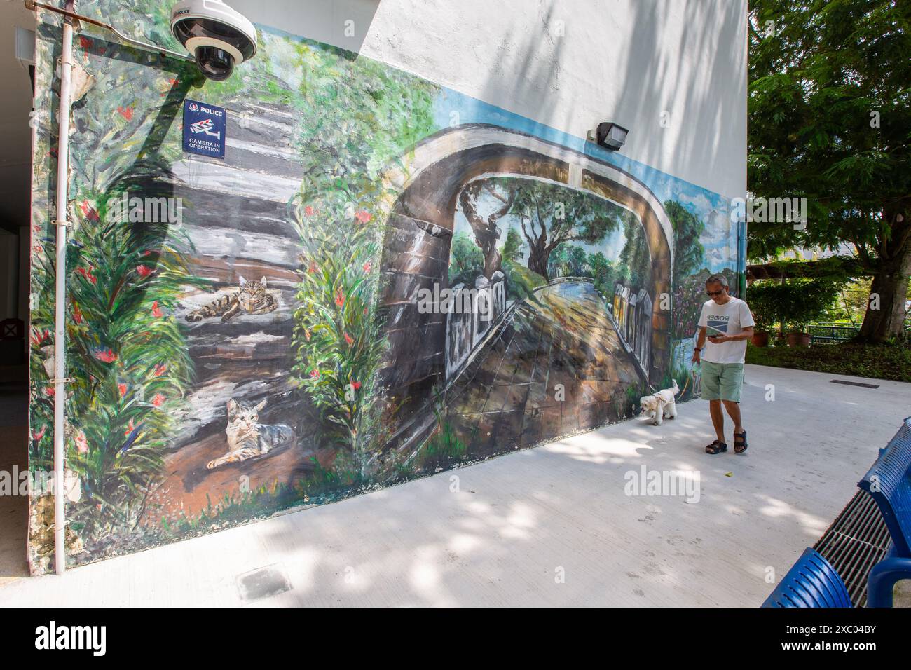 A man walking his dog walks past garden theme and cats wall mural ...