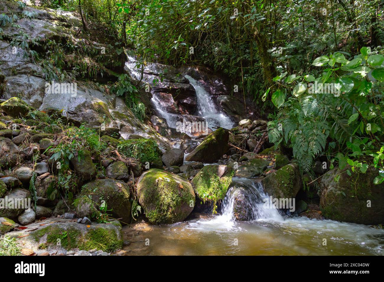 Snapshot of a small waterfall in the middle of the Andean choco jungle ...