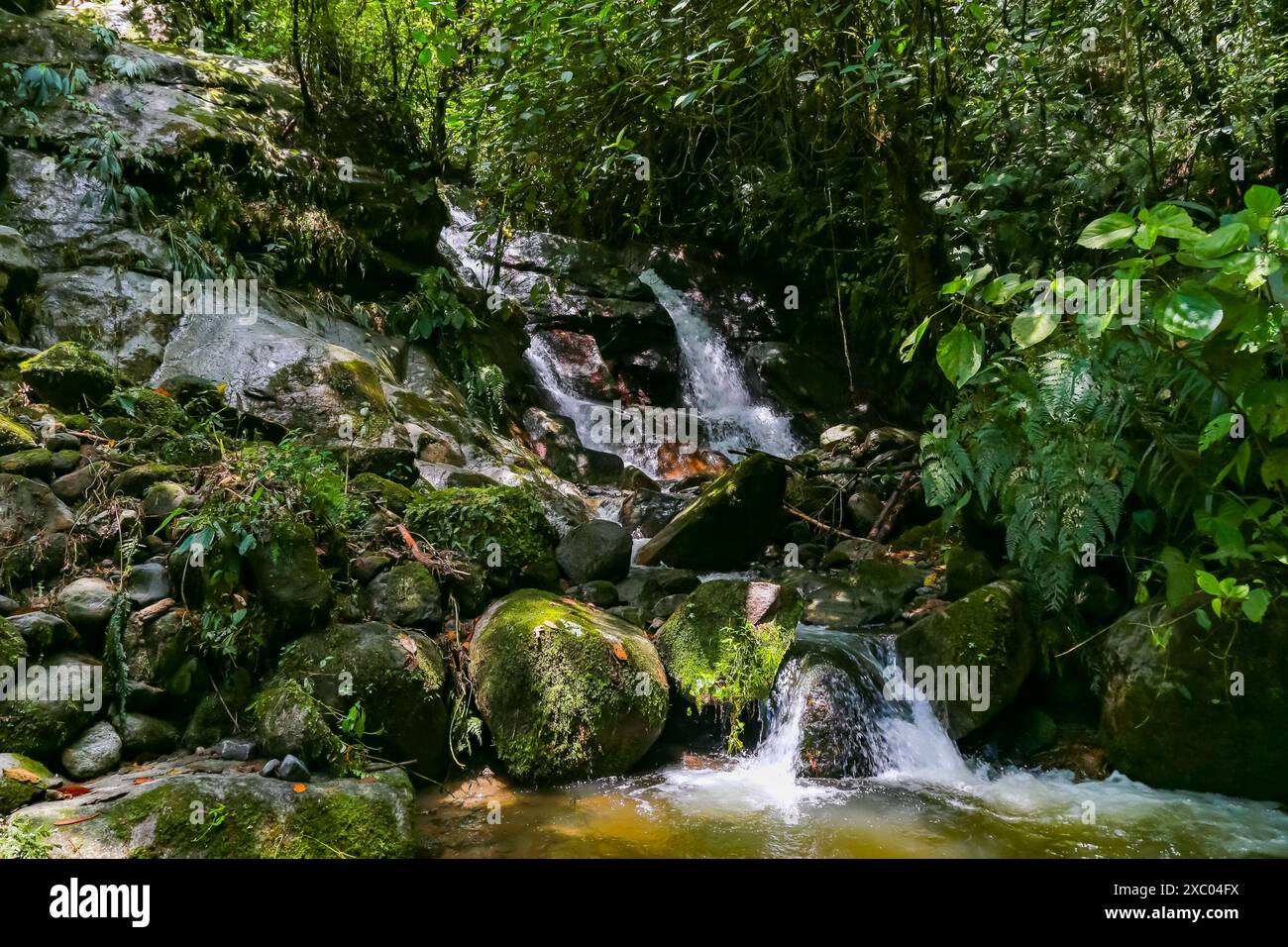 Snapshot of a small waterfall in the middle of the Andean choco jungle ...