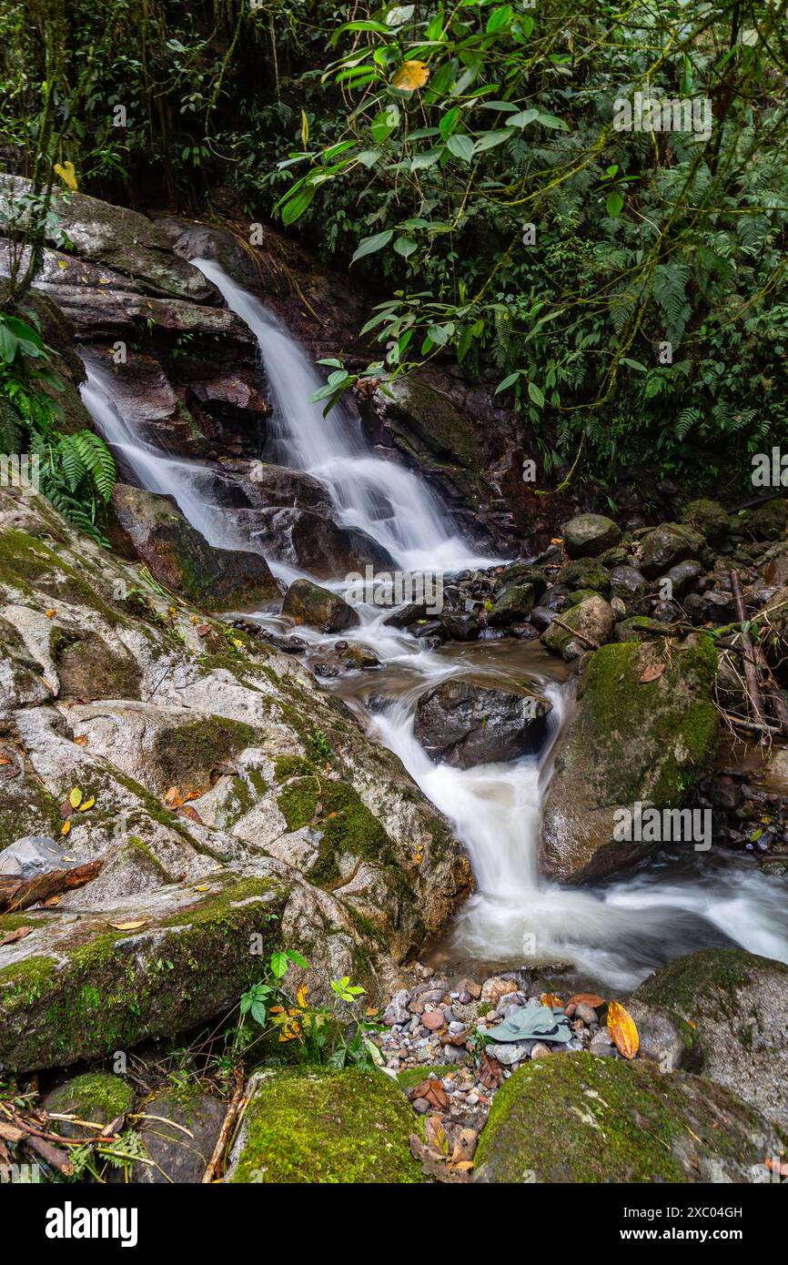 Long exposure of small waterfall in the middle of the Andean choco ...