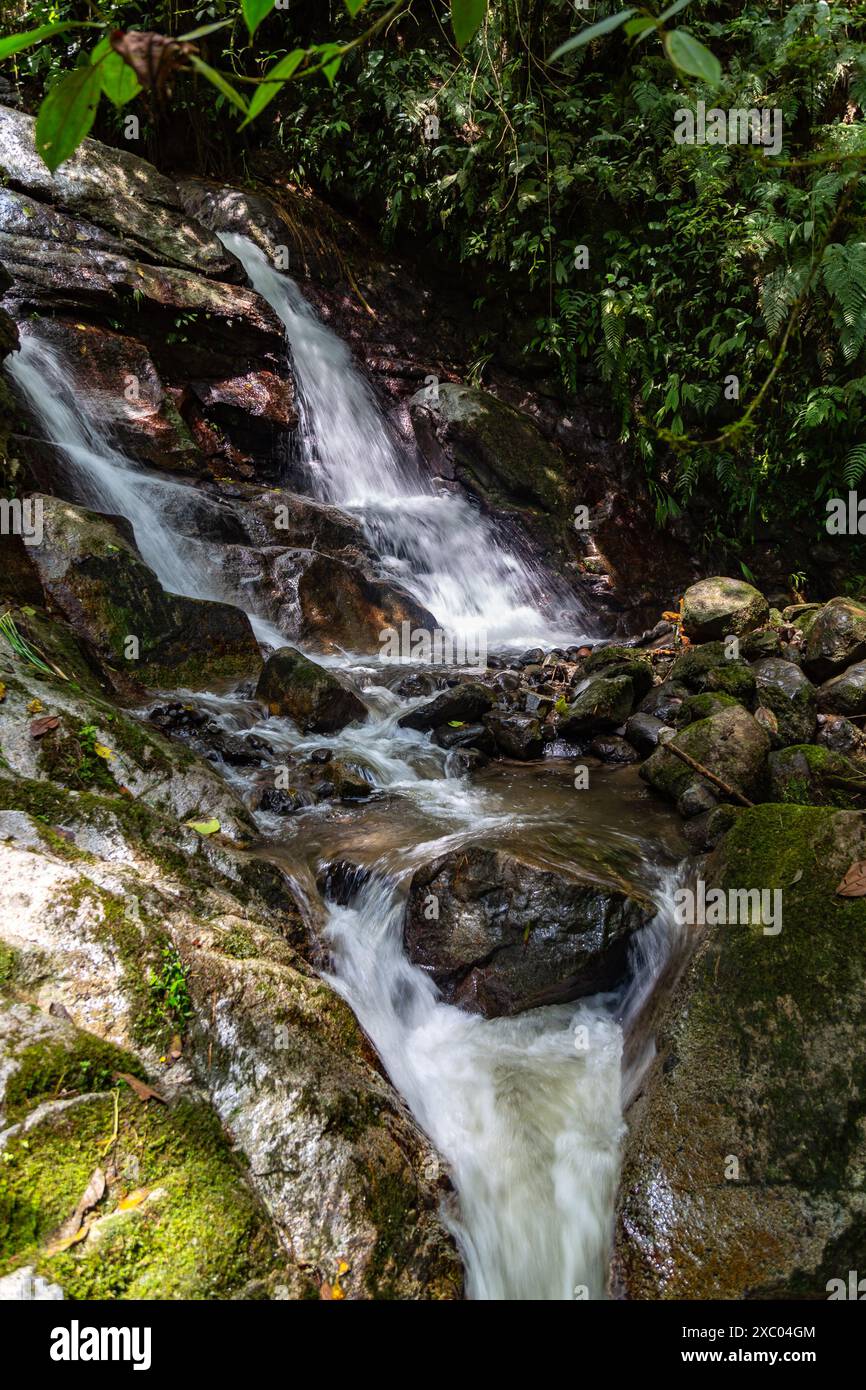 Snapshot of a small waterfall in the middle of the Andean choco jungle ...