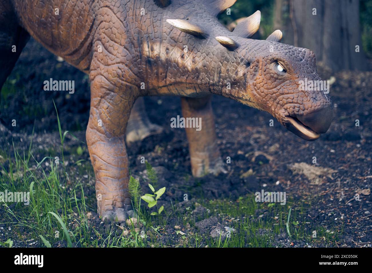 Stegosaurus is an herbivorous dinosaur species, a dinosaur from the ...
