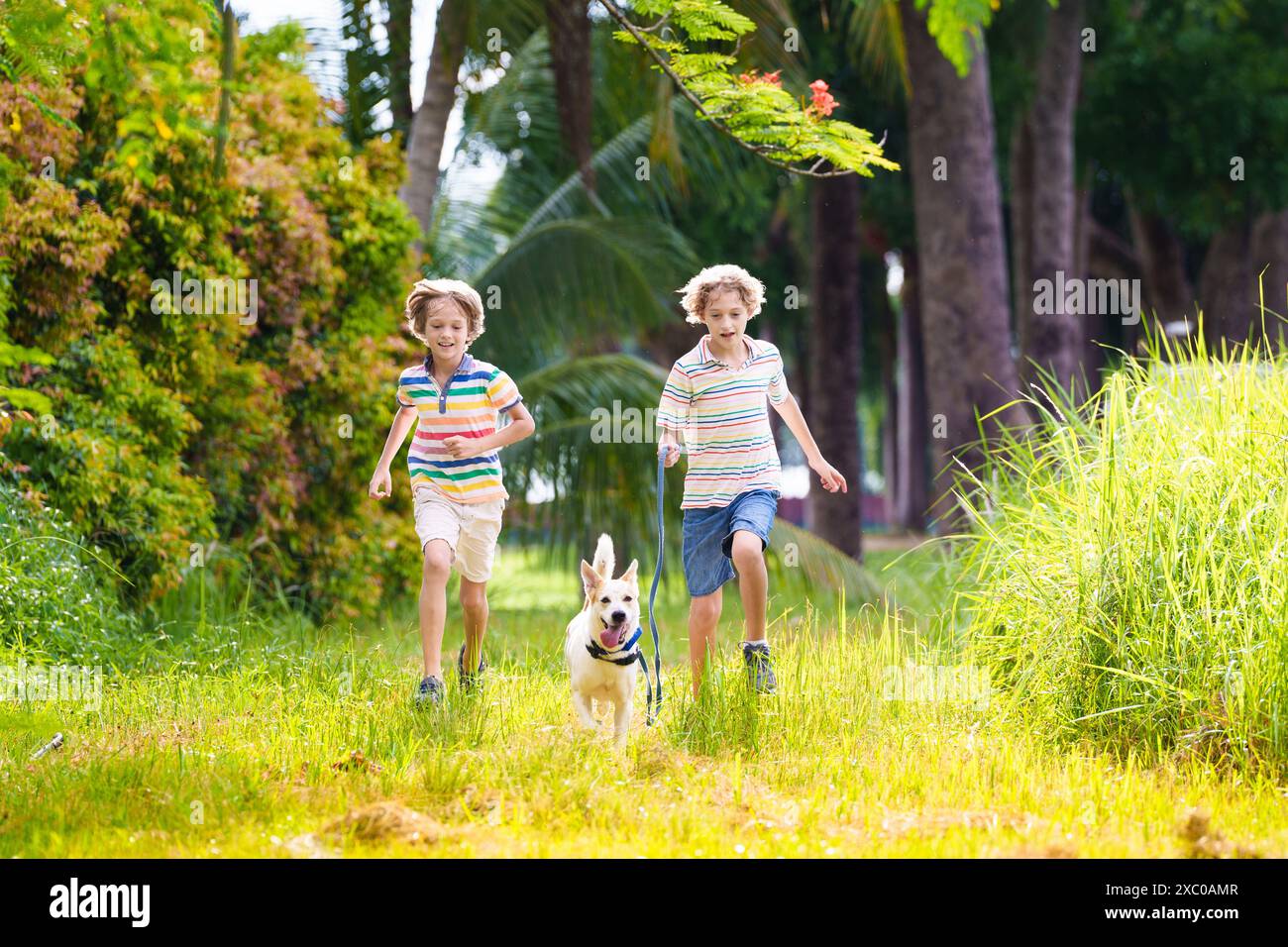 Family with kids running outdoor on sunny summer day. Siblings play in ...