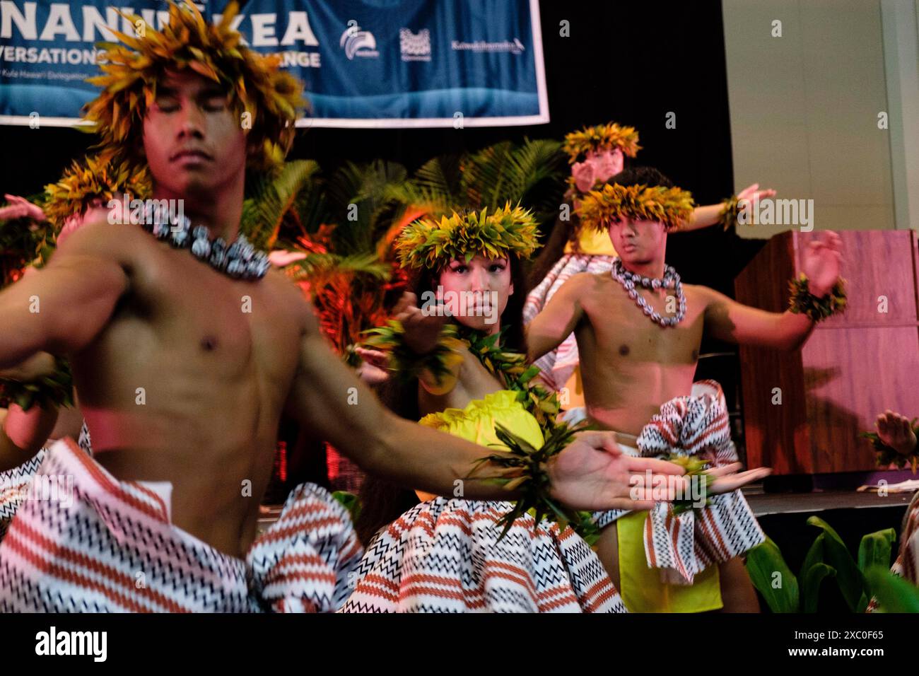 Hawaiian hula school hi-res stock photography and images - Alamy