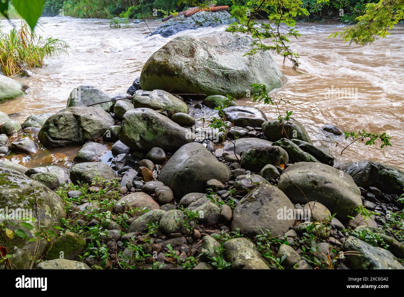 Rocas redondeadas con vegetación en las orillas del rio Alambi Stock ...